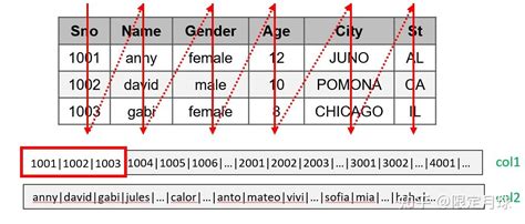 详解数仓的向量化执行引擎 知乎