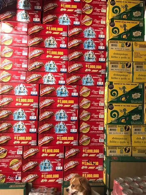 ម៉ាក់វិភូ ម៉ាក់វិភូ លក់បោះដុំភេសជ្ជៈគ្រប់ប្រភេទ