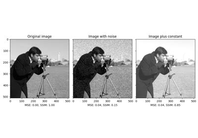 Skimage Metrics Skimage 0 24 0 Documentation