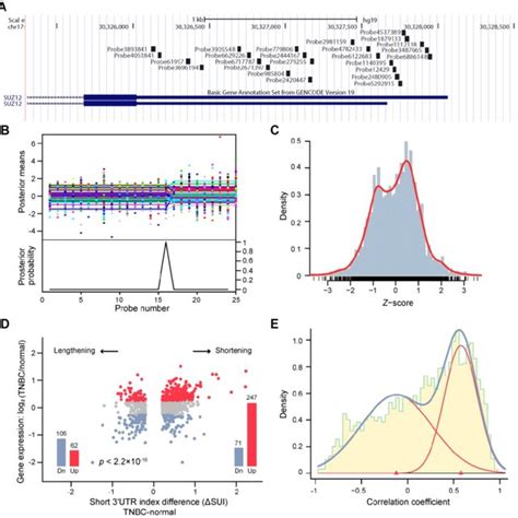 Alterations Of Alternative Polyadenylation Apa Events In Clinically Download Scientific
