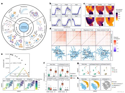 Scdesign3：多模态单细胞和空间组学数据生成 Csdn博客