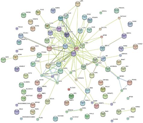 String Analysis Of The Relationship Between De Genes The De Genes