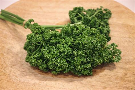 Parsely 허브 향료 신선한 Pixabay의 무료 사진 Pixabay