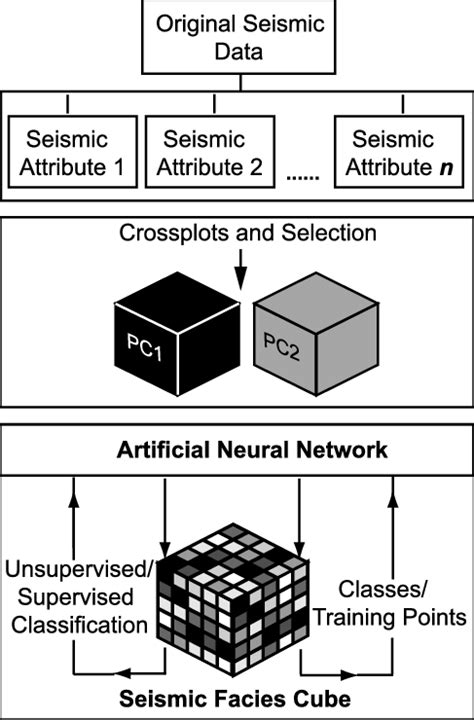schematic workflow of the seismic facies classification process using