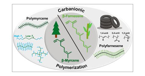 Polymers And Monomers Examples