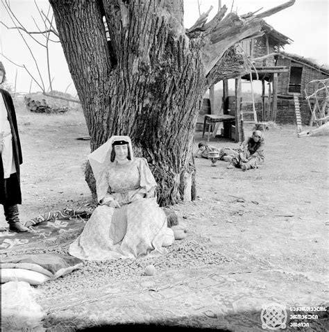 ილია ჭავჭავაძე საქართველოს ეროვნული არქივი