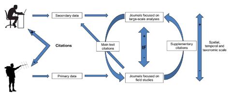 Figure 1 From Frontiers Of Biogeography Game The Role Of “hidden” On
