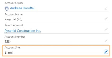 How To Build A Salesforce Account Hierarchy Salesforce Ben