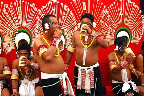 节日犀鸟印度nagaland 编辑类照片 图片 包括有 人们 节日 部落 印度 礼服 传统 外出 9974211