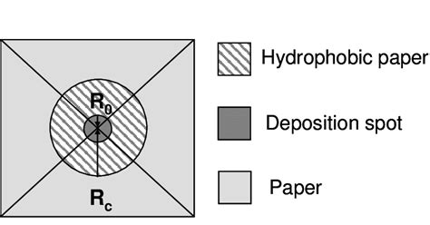 Scheme Of The Dsmt Download Scientific Diagram