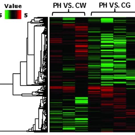 Hierarchical Clustering Of Gene Expression Red Represents