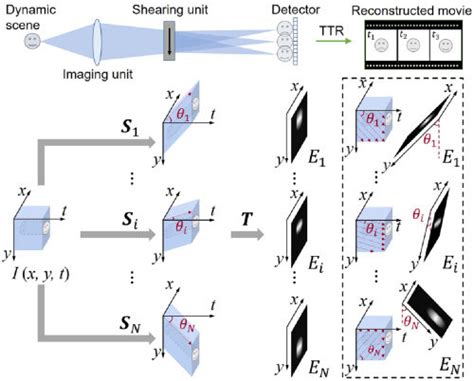 operating principle of cuti ttr twist based tomographic download