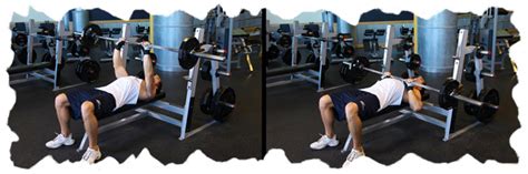 Базовые упражнения для набора мышечной массы