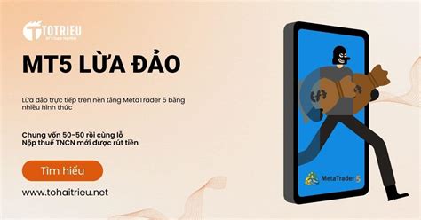 Metatrader 5 Mt5 Có Lừa đảo Không Các Hình Thức Lừa đảo Qua Mt5 Bạn