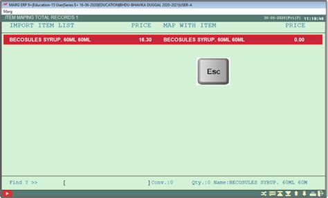 How To Import Purchase In Standard Format In Marg Software