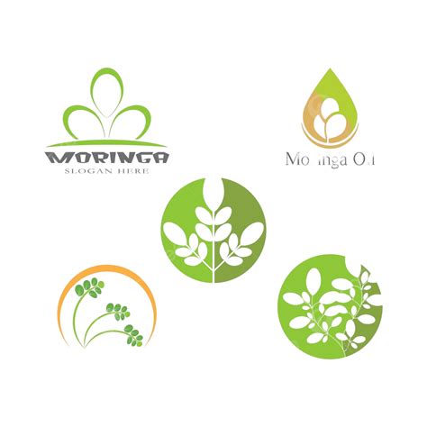 Mengatur Template Logo Daun Kelor Simbol Sayuran Lingkungan Vektor
