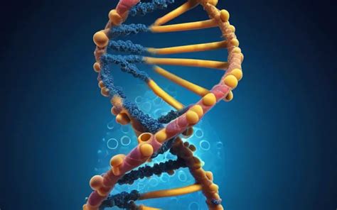 Folate In Dna Synthesis And Repair Mastering The Essentials