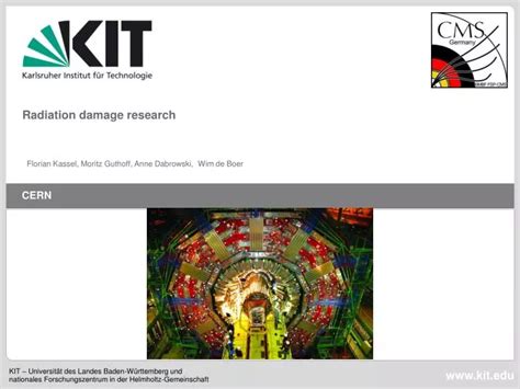 PPT Radiation Damage Research PowerPoint Presentation Free Download ID