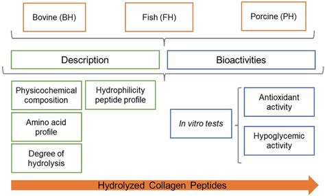 Flowchart Of Analytical Procedures Source Author Download