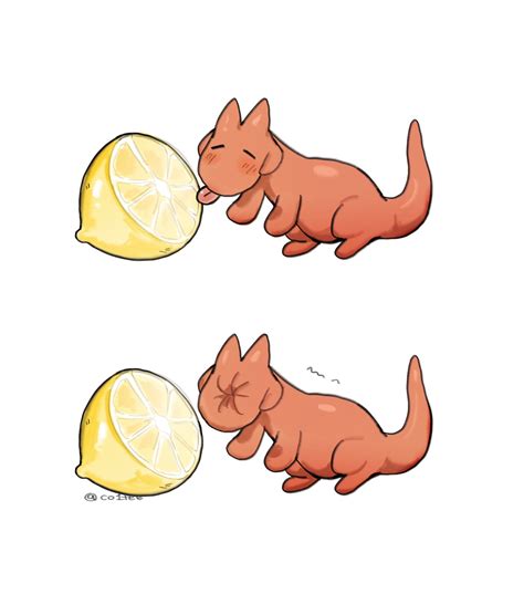 Dragon Dungeon Meshi Drawn By Co Fee Danbooru