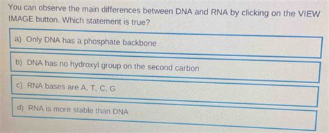 Solved You Can Observe The Main Differences Between DNA And RNA By Clicking On The VIEW IMAGE