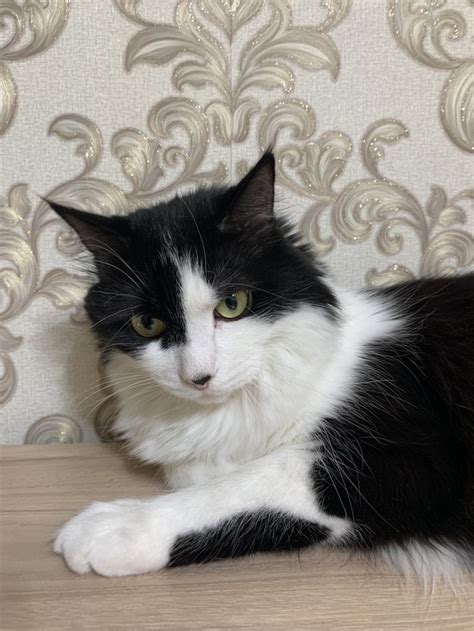 Горький шоколад 16 02 24 10 11 Пикабу