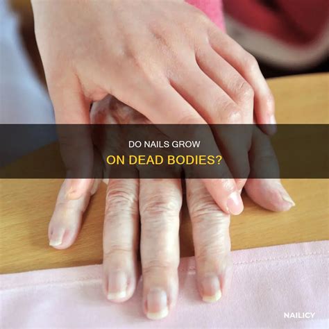 Do Nails Grow On Dead Bodies Nailicy
