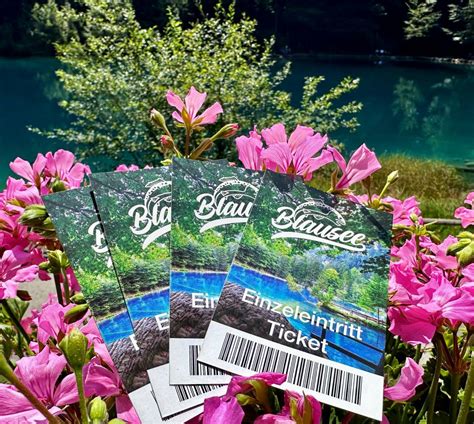 Faq Frequently Asked Questions Blausee Ag