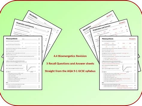 Topic 4 Bioenergetics Revision Questions And Answer Sheets Teaching Resources