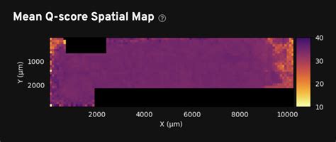 Overview Of The Xenium Analysis Summary Official X Genomics Support