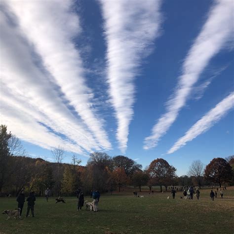 Stratocumulus Cloud Appreciation Society