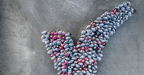 Sap Customer Experience Cx Crm Of The 4th Generation