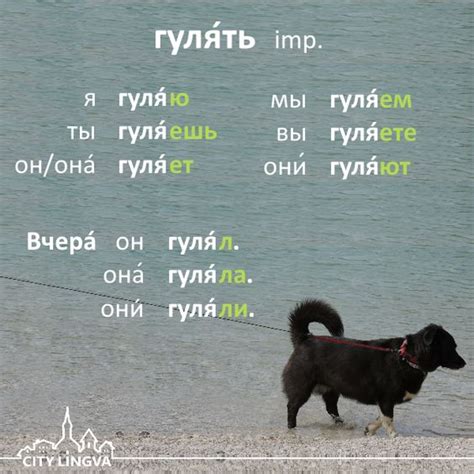 ქეთი მასწავლებელი რუსული ზმნები русские глаголы