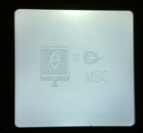 E Msc Usb Izzy Laif Video Review Tutorial Testimonial