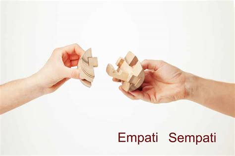 Empati Ve Sempati Nedir? - Kitapça Edebiyat Kitap
