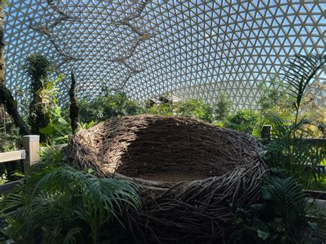 [거제여행] 거제 식물원 거제정글돔 정글타워 관람시간 입장료 이용 꿀 팁 네이버 블로그