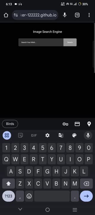 Imagesearchapp Webdevelopment Javascript Apiintegration Arjun Karnan