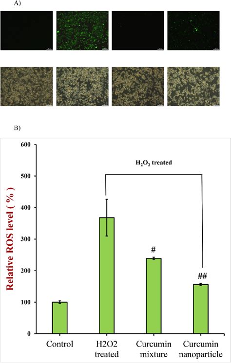 Images A And Fluorescence Intensity B Of Control Group Control H