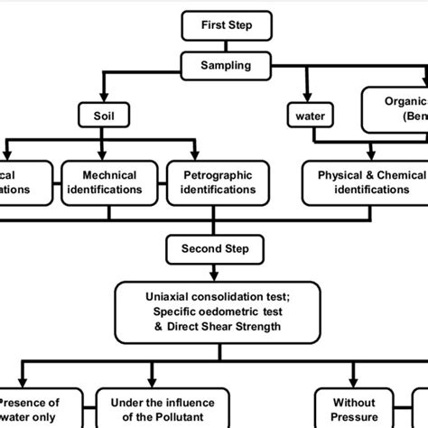 Flow Chart Of Testing Programme Download Scientific Diagram
