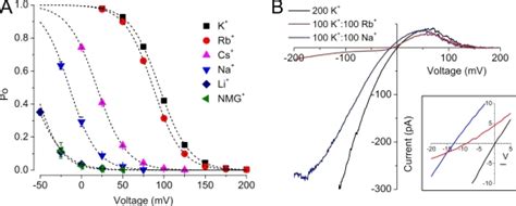 Ionic Selectivity Of An External Modulatory Site A Po Versus Voltage Download Scientific
