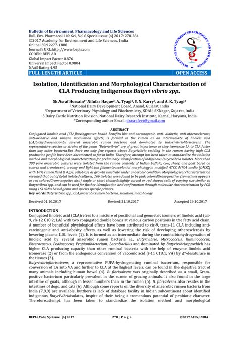 Pdf Isolation Identification And Morphological Characterization Of Cla Producing Indigenous