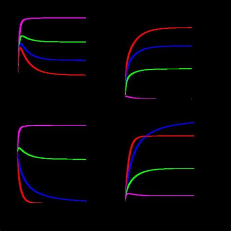 Stem Cell Dynamics In The Presence Of Differentiation Top Dynamics Of Download Scientific