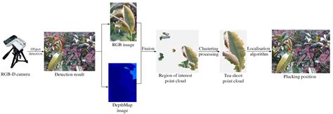 Agronomy Free Full Text Detection And Localization Of Tea Bud Based On Improved Yolov5s And