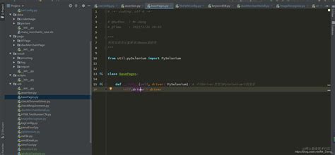 can t build an automated testing framework ＞＞＞＞ python selenium