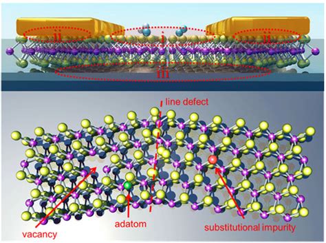 陈伟和倪振华课题组合作发表chem Soc Rev综述——二维过渡金属硫族化合物：界面和缺陷工程 X Mol资讯