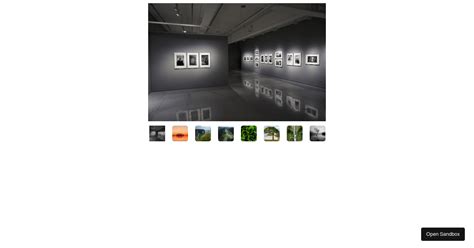 Gallery App In React Js Codesandbox