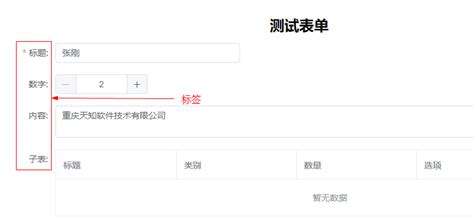 表单控件id，绑定字段，标签，默认值说明 Aspnet Core6 Element Plus Vue前后端分离工作流引擎低代码快速开发平台