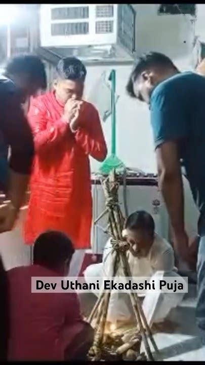 Dev Uthan Celebration Last Year Jai Shree Hari Vishnu Ytshorts Devuthani Devuthaniekadashi