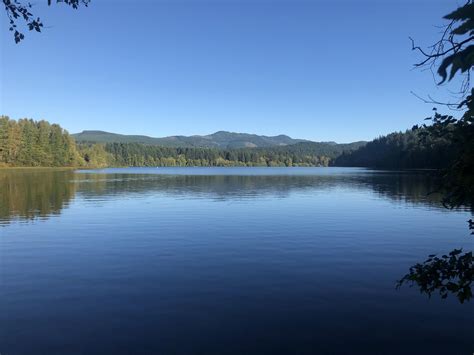 Lake Padden Is So Nice This Time Of Year Go Enjoy It Yall Rbellingham