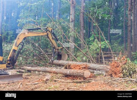 Tractor Manipulator Is Used In Deforestation Process Pull Down Trees Raise Logs To Clearing Land